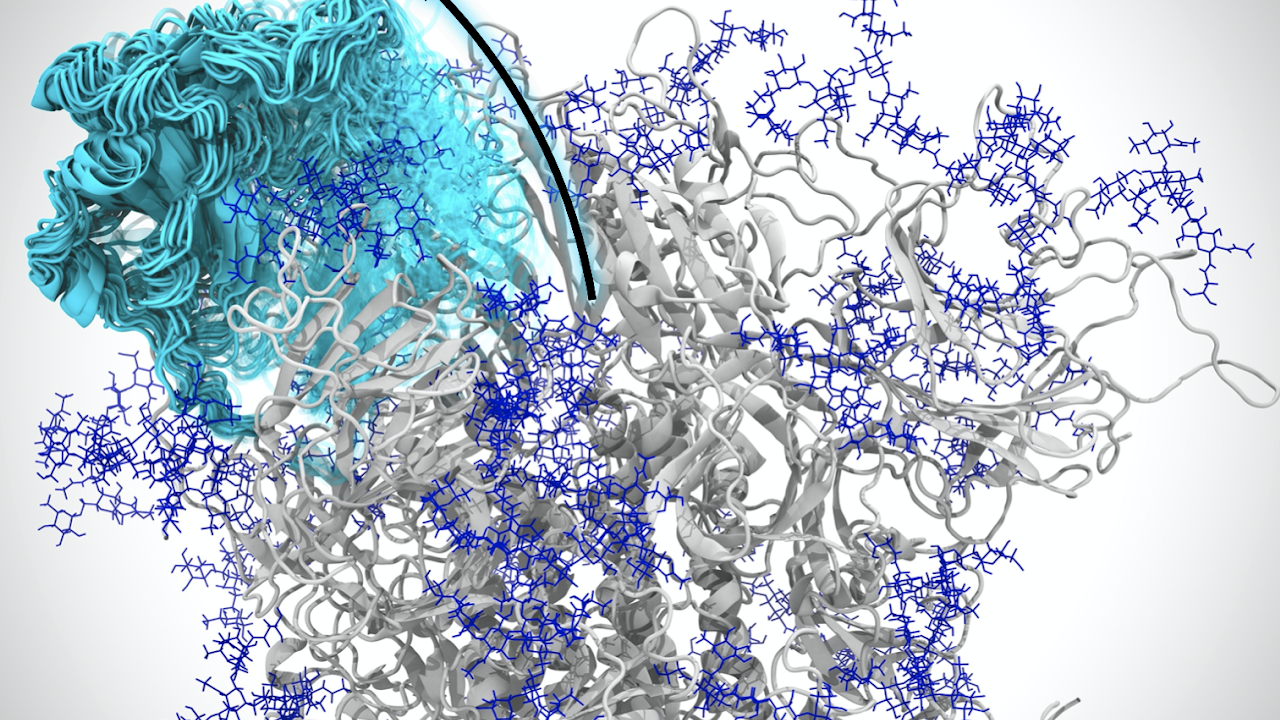 Innovative Chemical Engineering Simulations Unveil Breakthroughs in ...